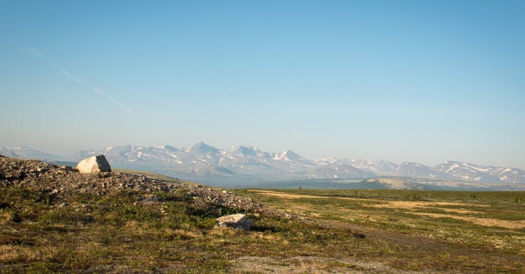 Guide pratique pour visiter le Parc Animalier Friedel à Illkirch ...
